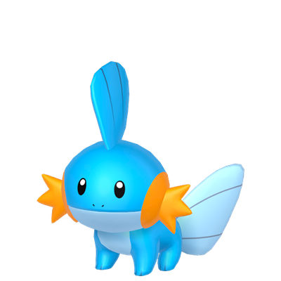 Mudkip - Pokémon Info, Stats & where to find it - PokéPC